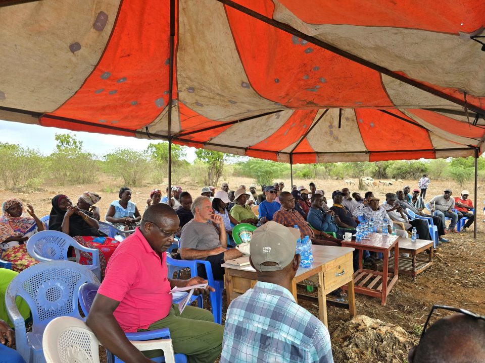 Ngomeni Shipwreck: Unearthing a 16th-Century Treasure – National ...