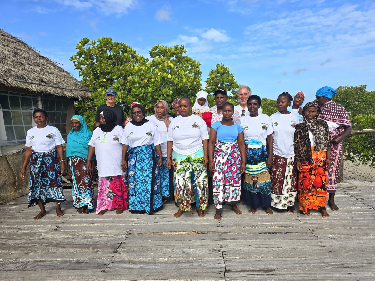 Ngomeni Shipwreck: Unearthing a 16th-Century Treasure – National ...